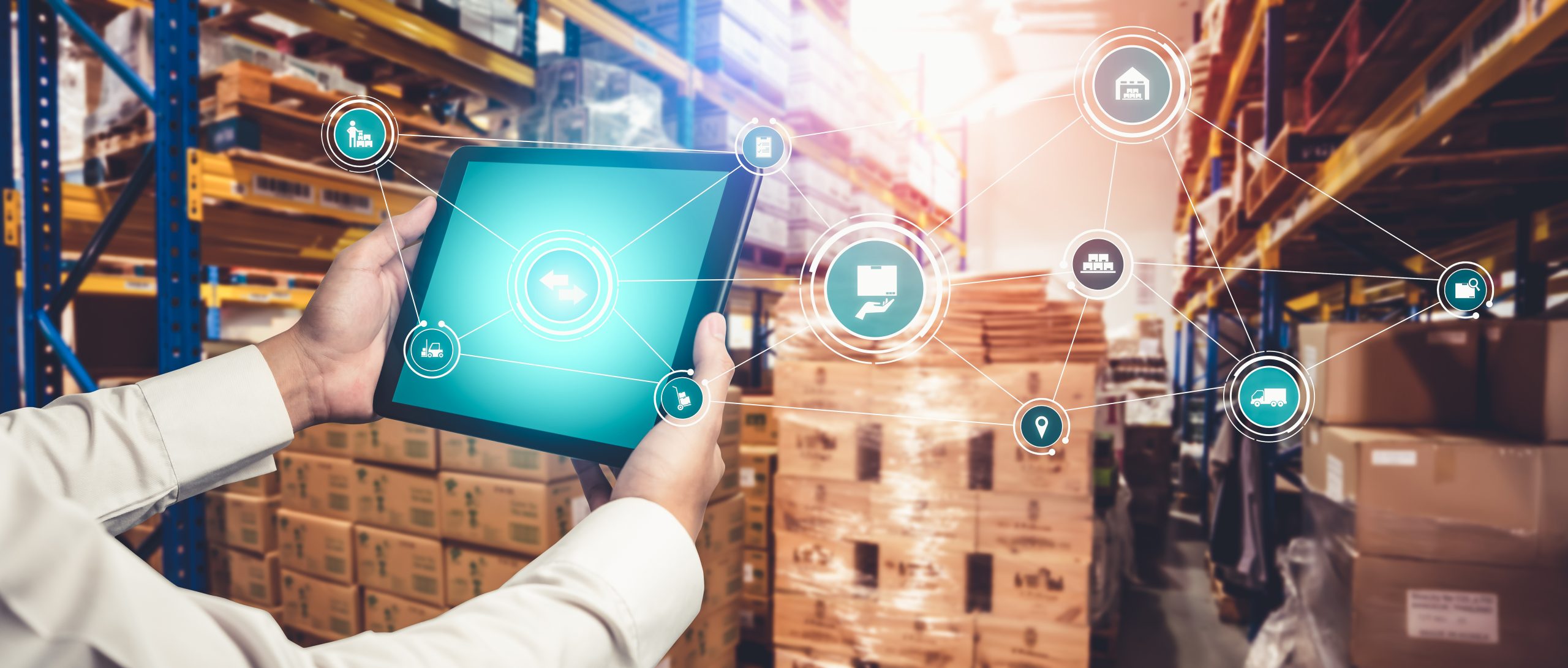 Trade Point – Logistic – Shipping & Consulting